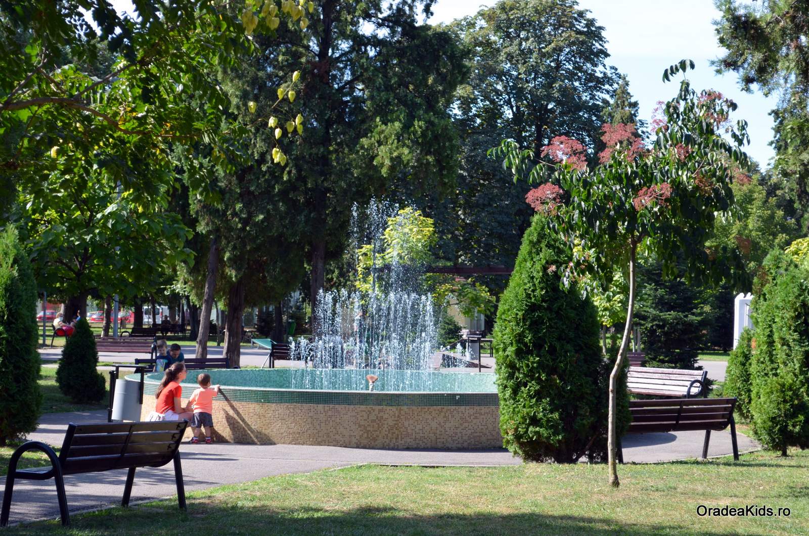 Parcul Olosig - Oradea Kids