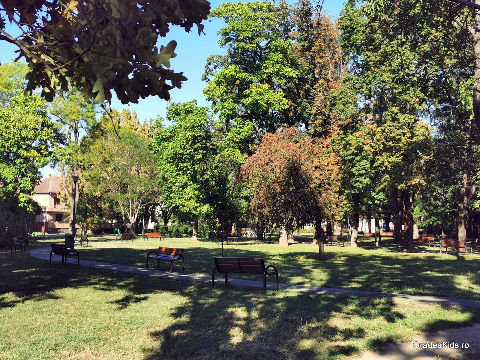 Parcul 22 Decemebrie - Oradea Kids