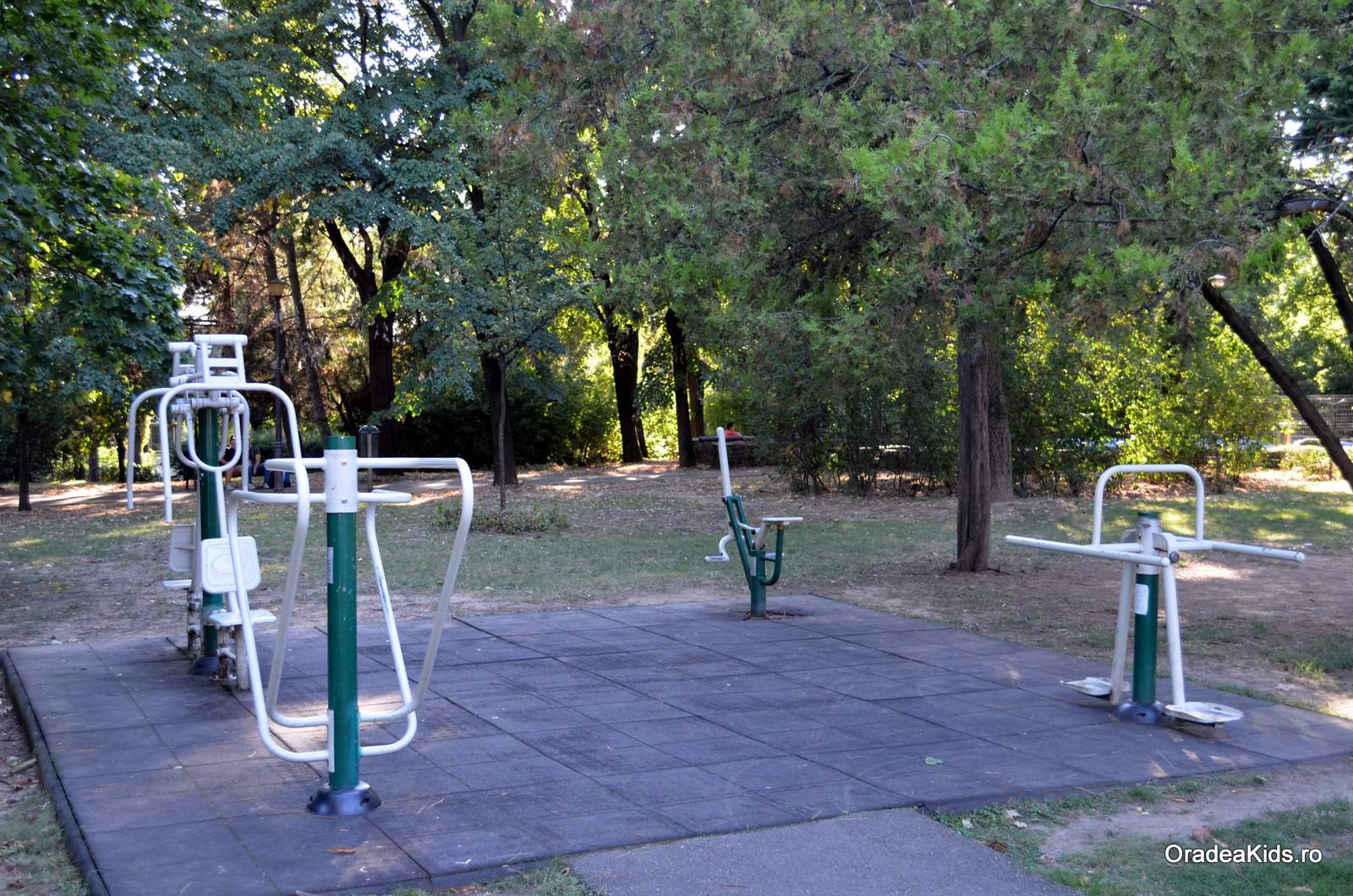 Parcul Petofi Sandor - Oradea Kids