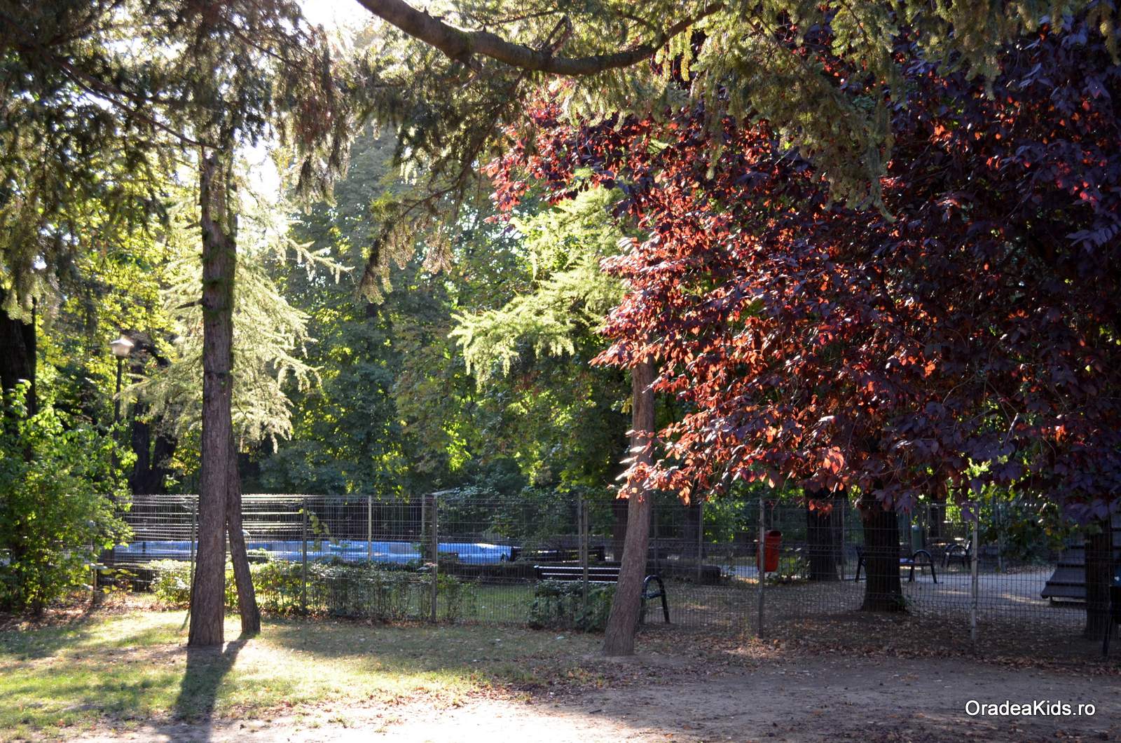 Parcul Petofi Sandor - Oradea Kids