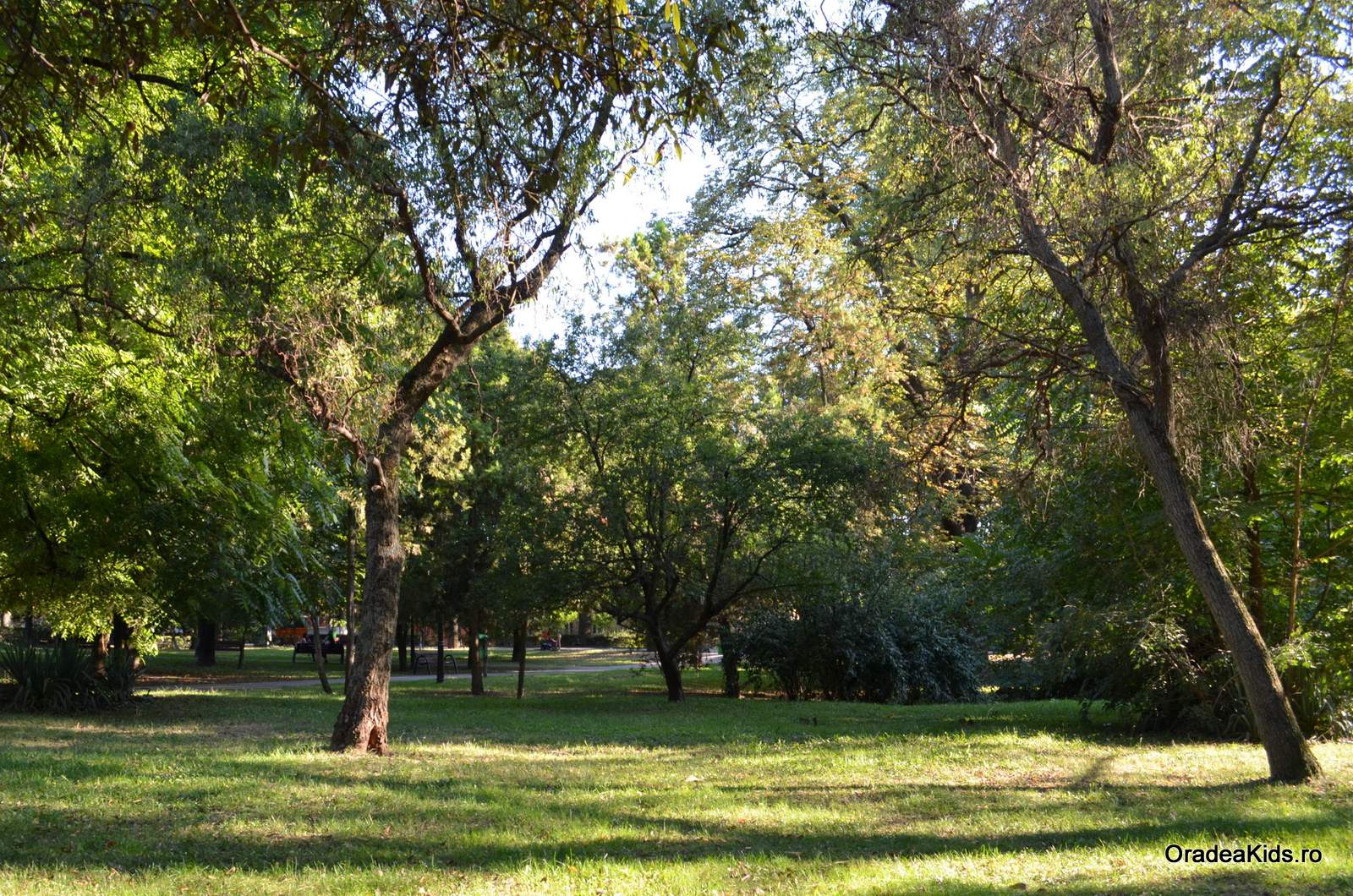 Parcul Petofi Sandor - Oradea Kids