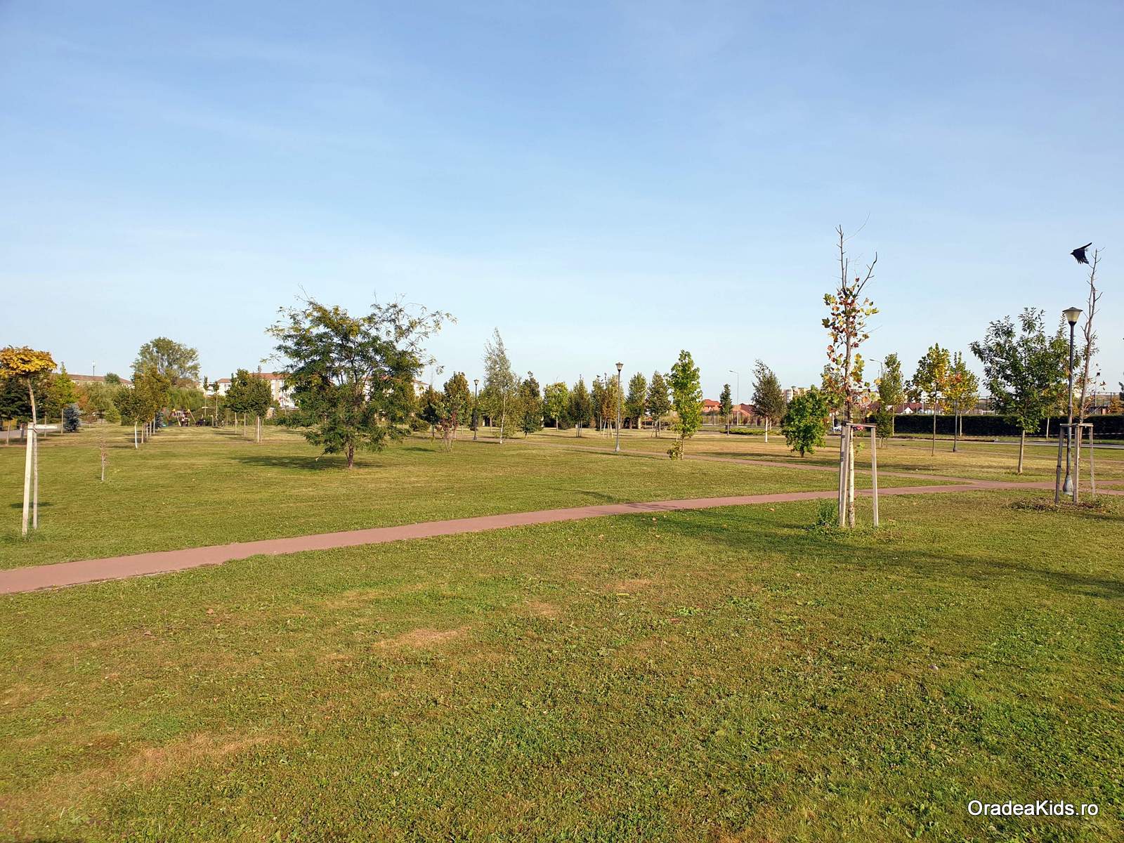 Parcul Salca - Oradea Kids