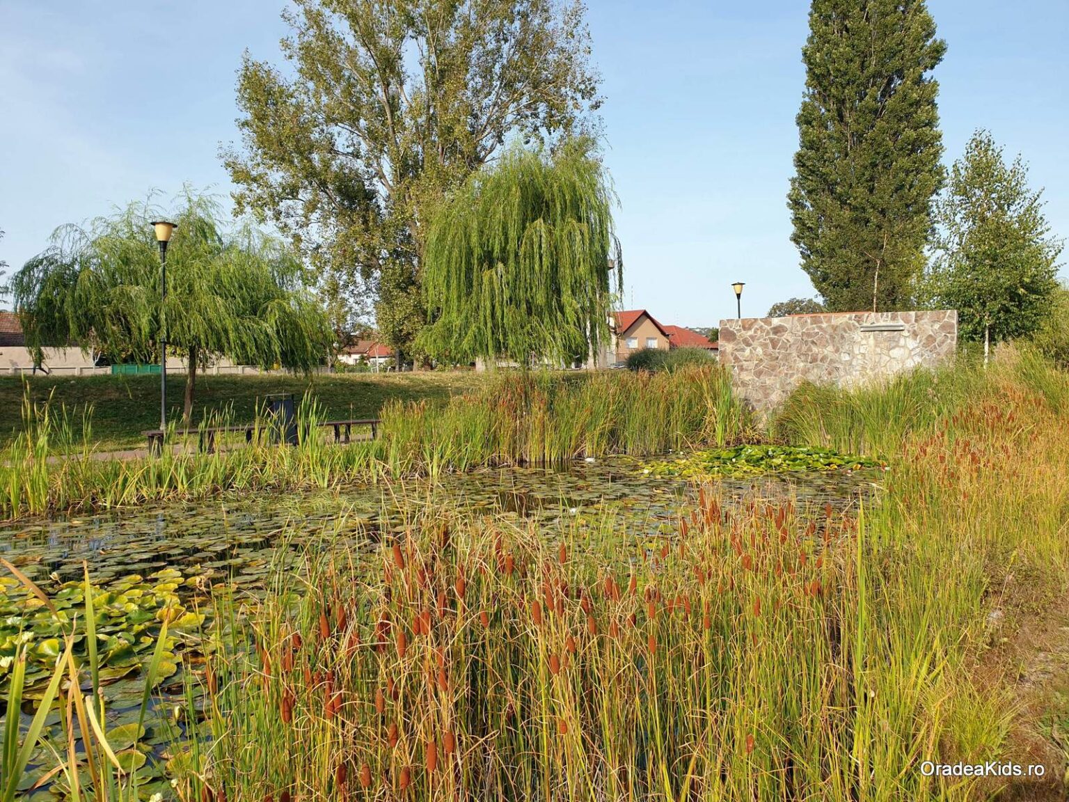 Parcul Salca - Oradea Kids