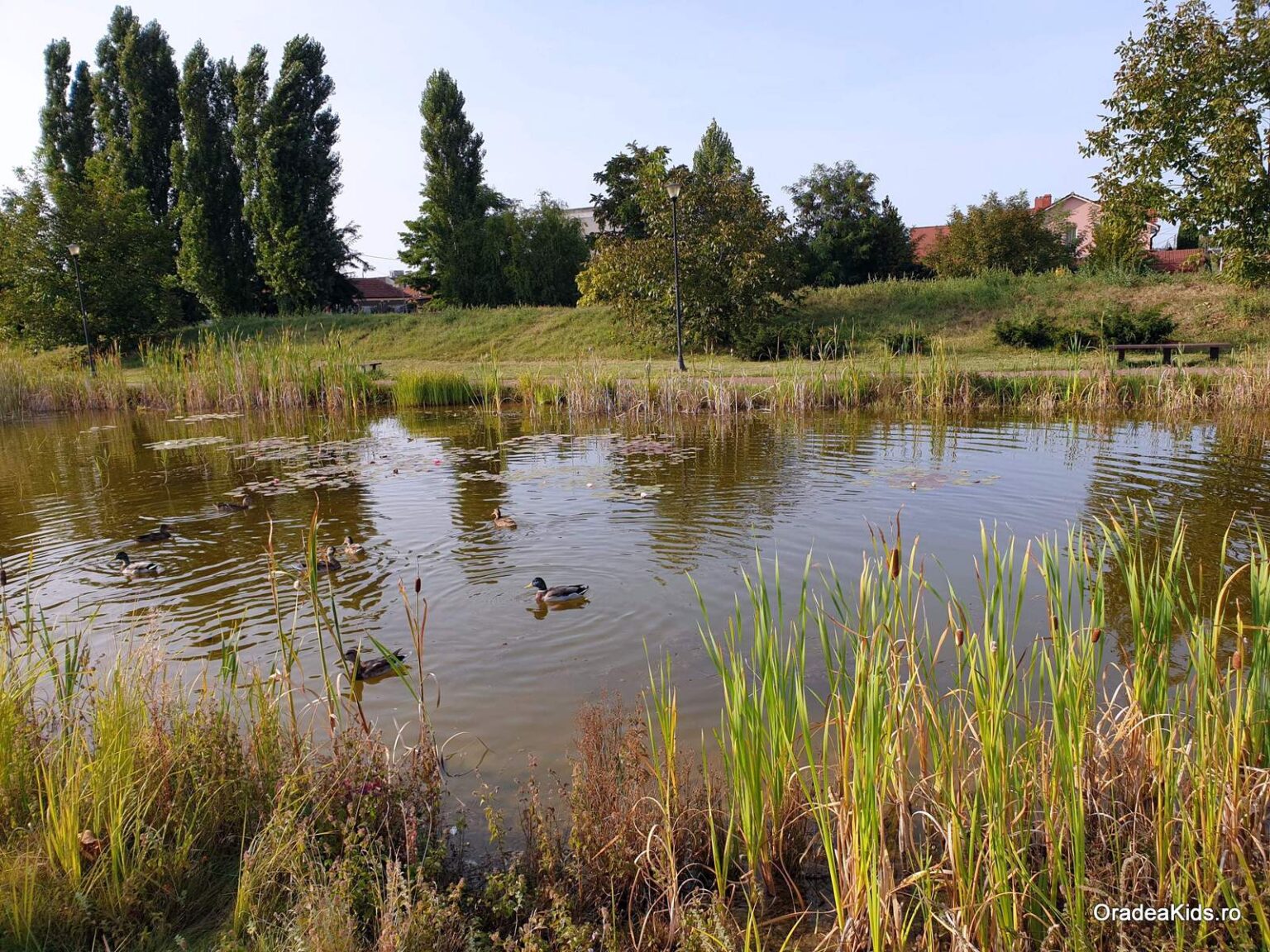 Parcul Salca - Oradea Kids