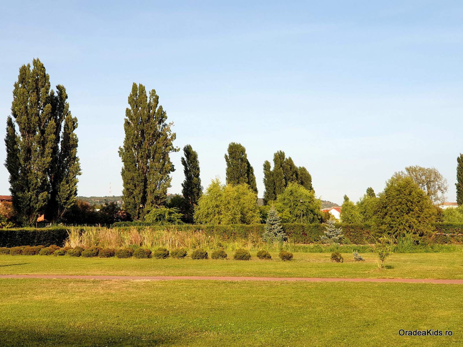 Parcul Salca - Oradea Kids